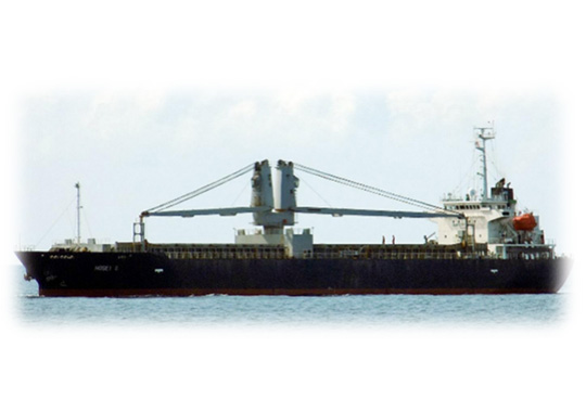 Service｜Toei Shipping Co., Ltd. – A maritime shipping company based in ...